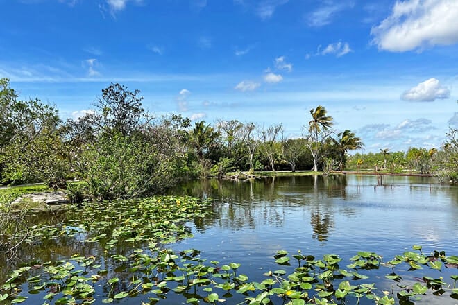 Everglades Day Safari