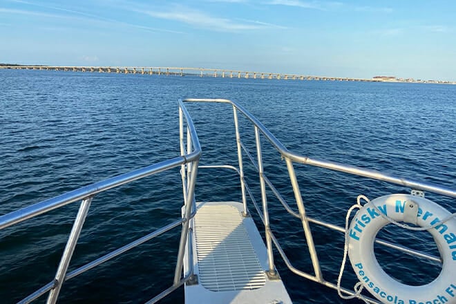 Frisky Mermaid Dolphin Tours in Pensacola Beach