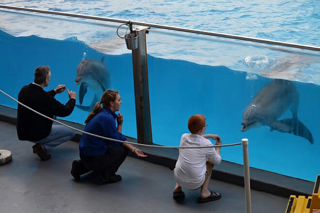 Gulf World Marine Park