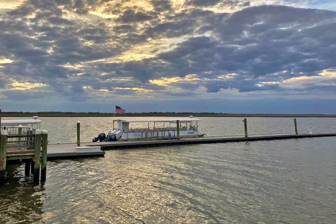 Jekyll Island Dolphin Tours