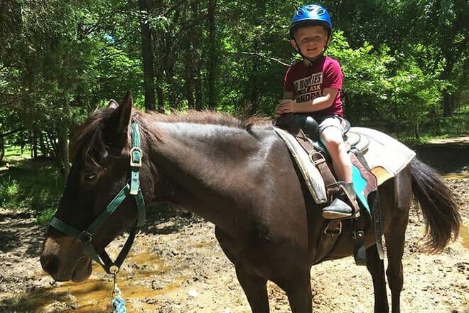 memphis horseback trail ride tour
