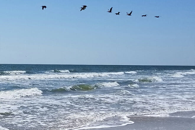 padre island national seashore &mdash; corpus christi