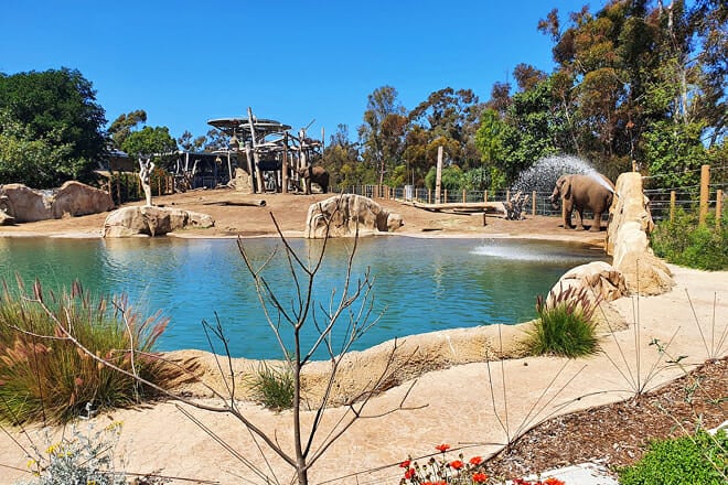 San Diego Zoo &mdash; San Diego