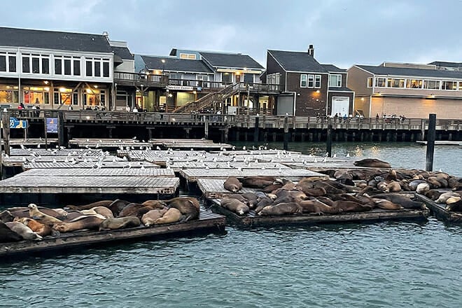 San Francisco Bay Sailing Cruise