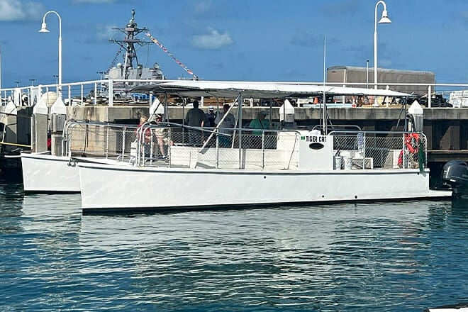 Shark and Wildlife Viewing Adventure