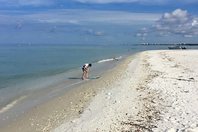 Shelling Tours - Fort Myers Beach / Naples