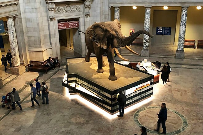 smithsonian national museum of natural history