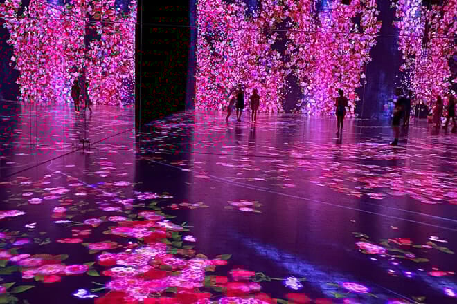 Superblue Miami Immersive Art Experience