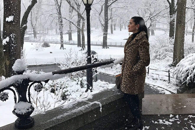  The Sherry Netherland