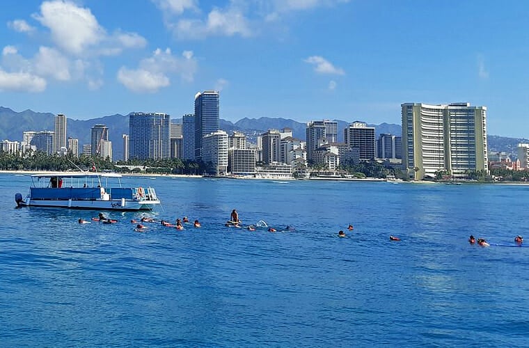turtle canyons snorkel excursion