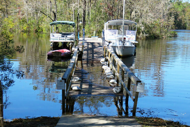 waccamaw river nature and wildlife tour &mdash; myrtle beach