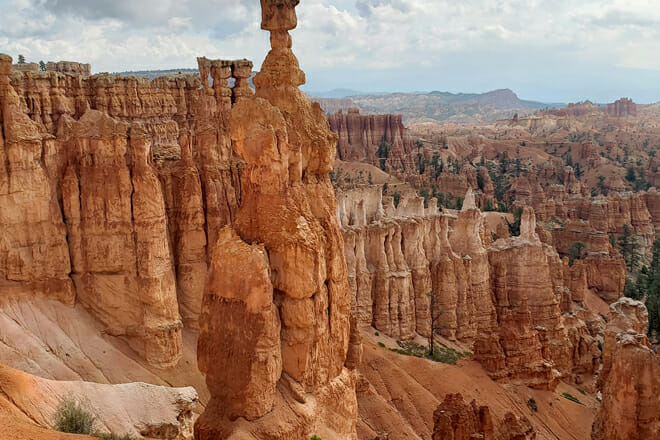 Bryce Canyon National Park Sightseeing Tour