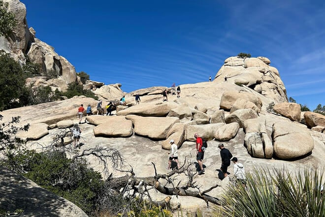 Joshua Tree National Park Offroad Tour
