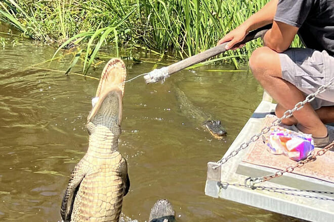 Manchac Bayou Swamp Cruise &mdash; Manchac Bayou
