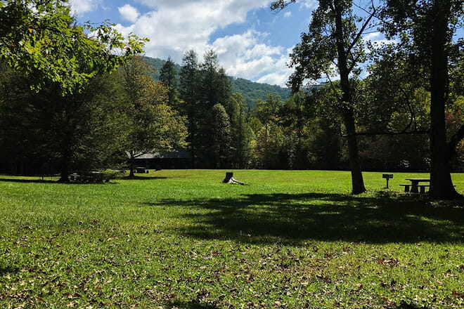 Pisgah National Forest