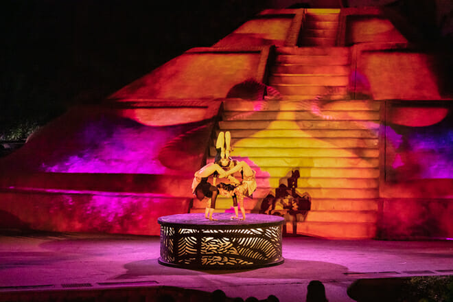 Rhythms of the Night Cruise & Dinner Show