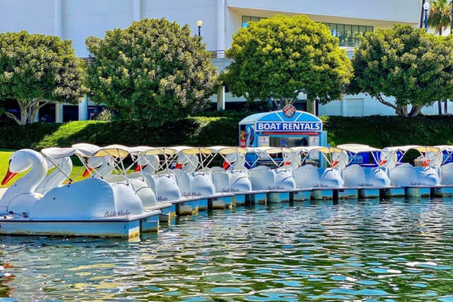 Swan Boat at Rainbow