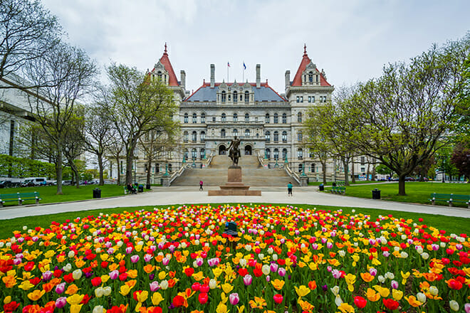 what is albany famous for a rich history