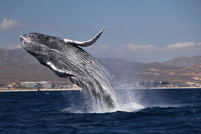 Baja California Peninsula
