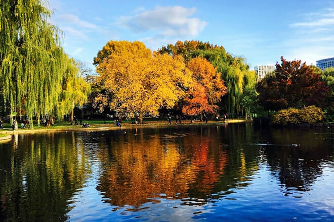 Boston Public Garden