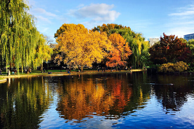 Boston Public Garden