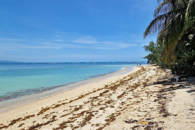 Cahuita National Park