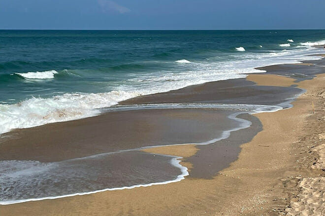 Canaveral National Seashore
