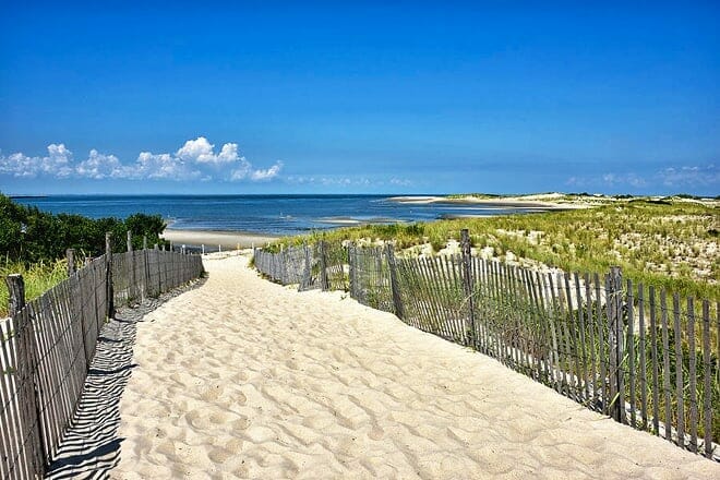 Cape Henlopen State Park