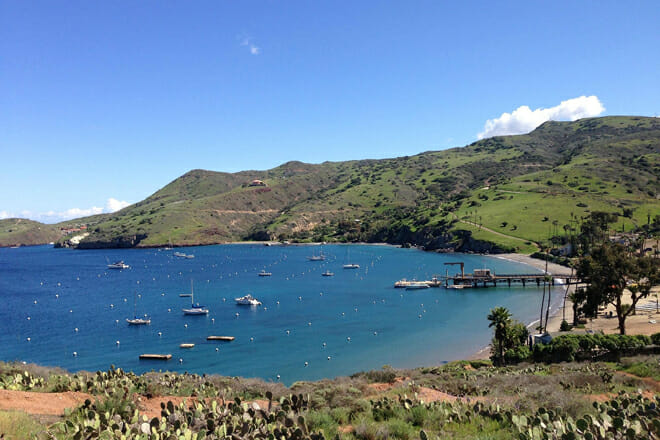 Catalina Island