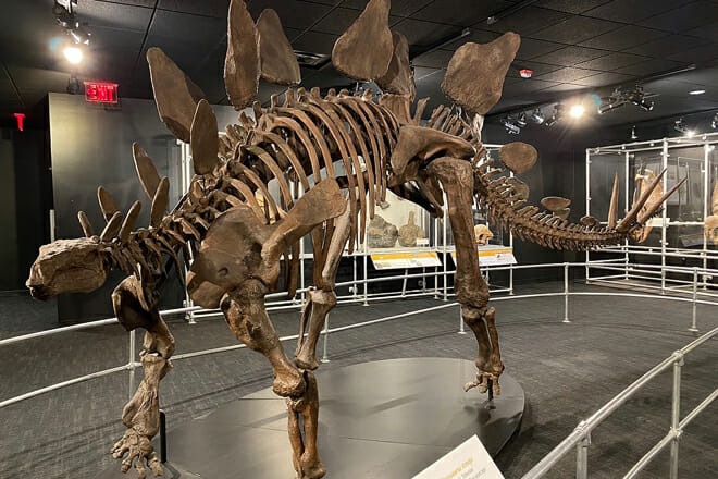 Center of Science and Industry