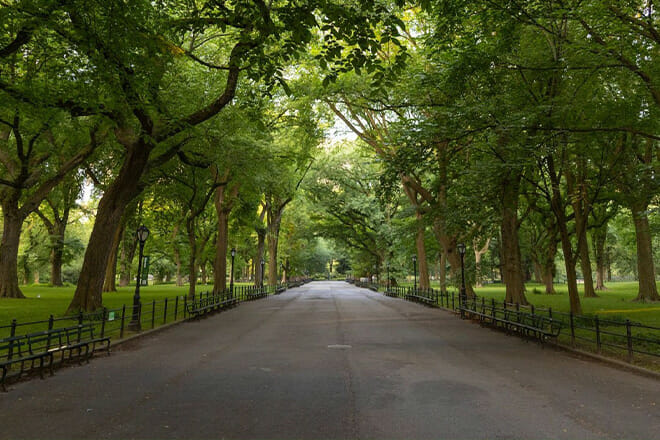 Central Park