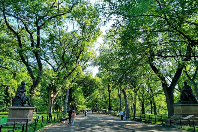 Central Park