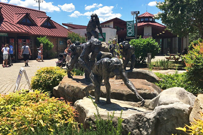 Chattanooga Zoo