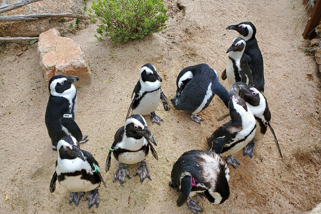 Cheyenne Mountain Zoo