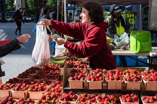 Chicago City Markets