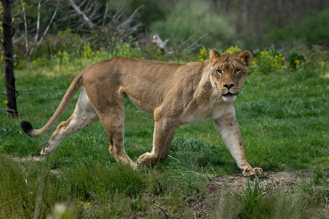 Columbus Zoo and Aquarium