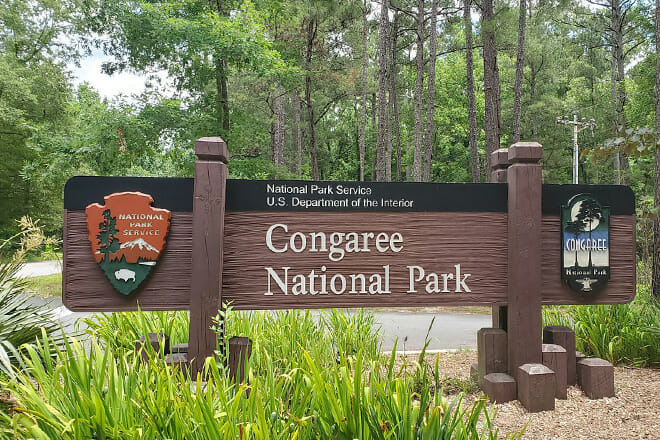 Congaree National Park