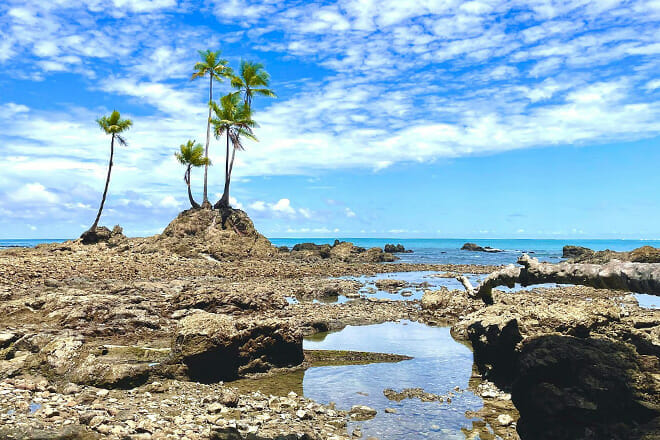 Corcovado National Park