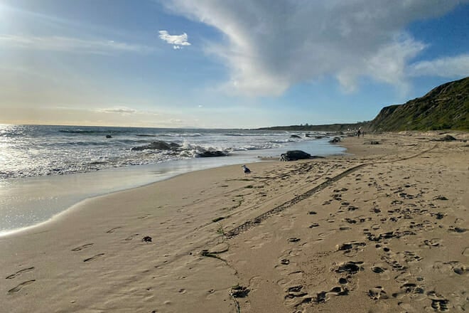 Crystal Cove State Park