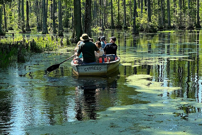 Cypress Gardens