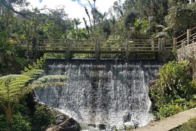 El Yunque National Forest