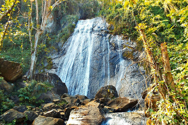 El Yunque National Forest