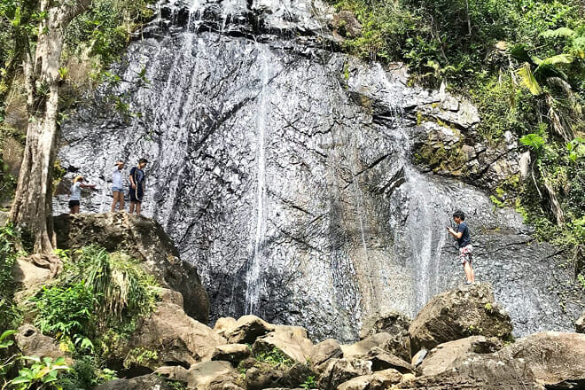 El Yunque National Forest