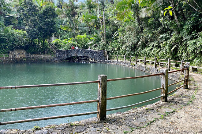 El Yunque National Forest