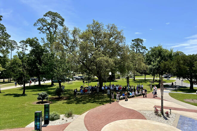 entertainment and traditions in the gulf coast