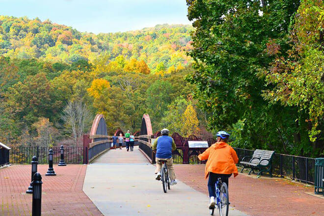 Everyday Expressions and Items