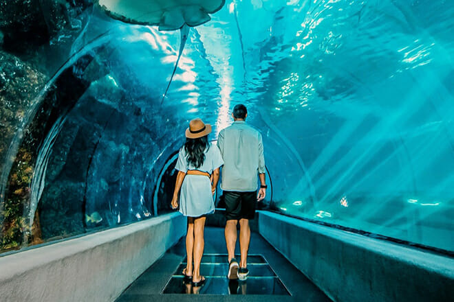 Everyday Hawaiian Phrases