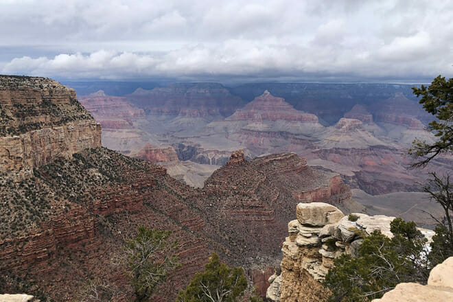 Grand Canyon State