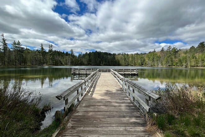 Hartwick Pines State Park