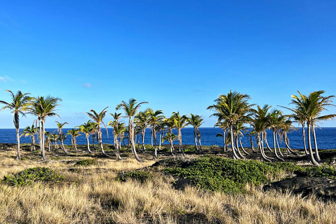 Hawaii Volcanoes National Park